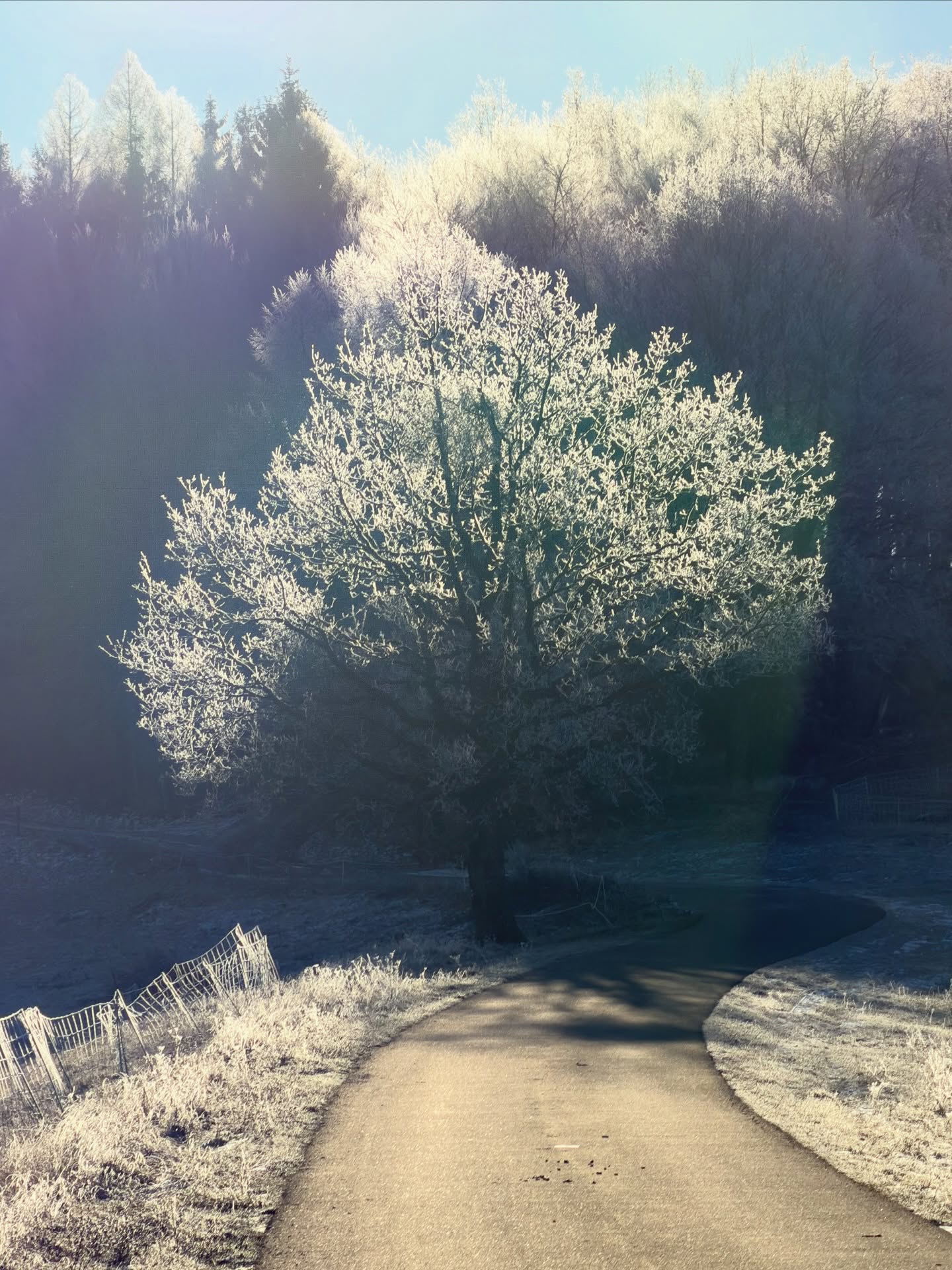 Telephoto Camera Test: iPhone 17 Pro vs. 16 Pro / 15 Pro (+ video ...